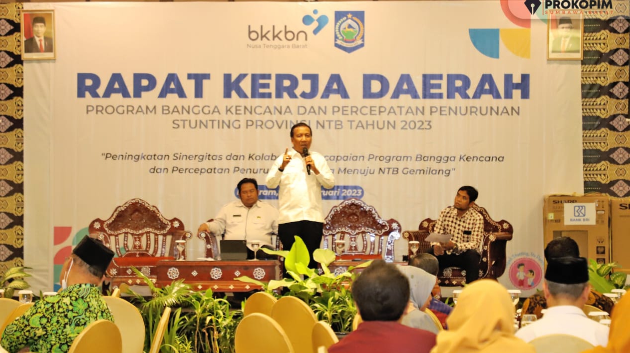 Tampil Sebagai Pemateri, Wabup Paparkan Konsep Penanganan Stunting di ...